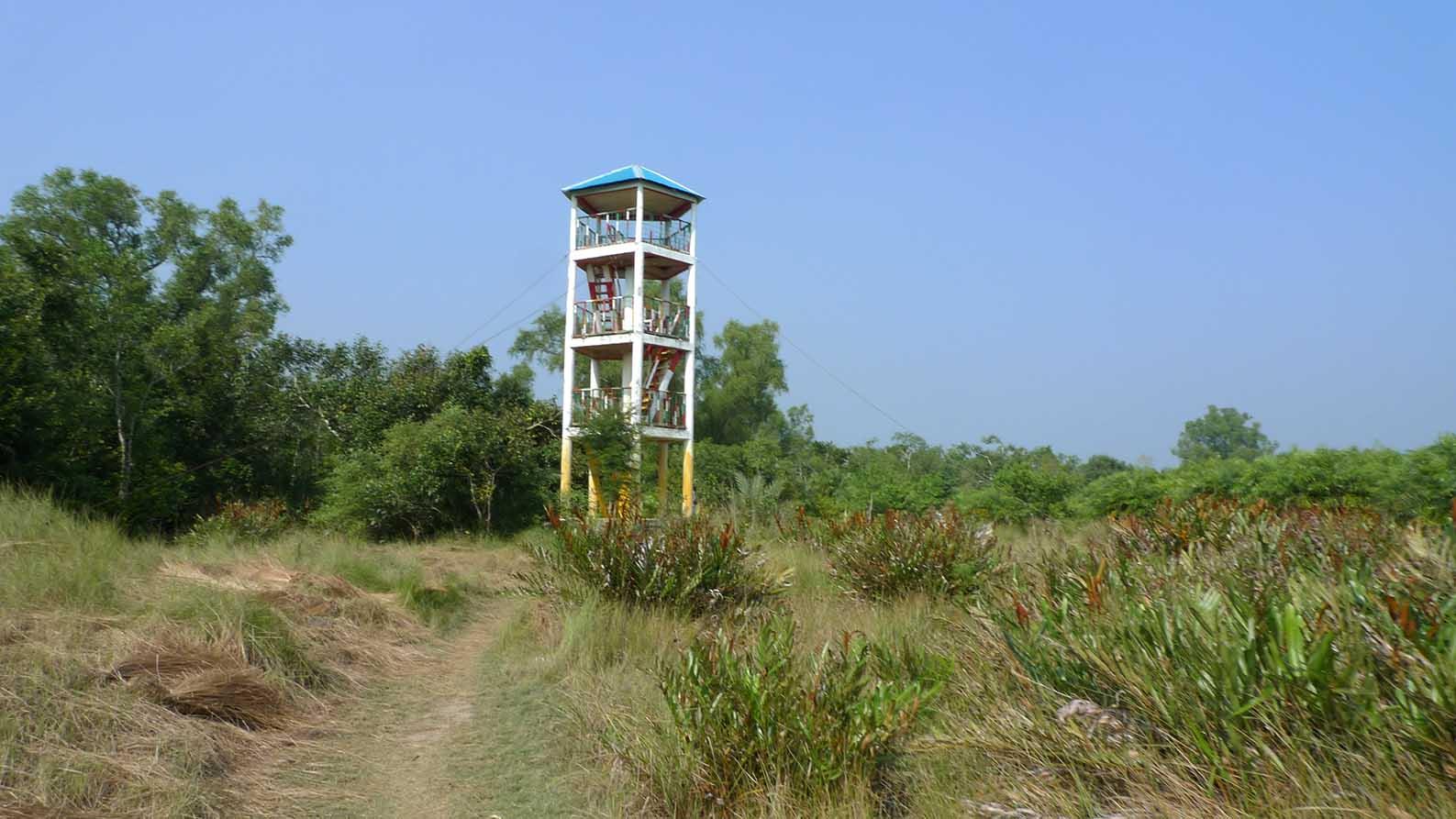 Things To Do At Sundarban - Travel and Explore BD